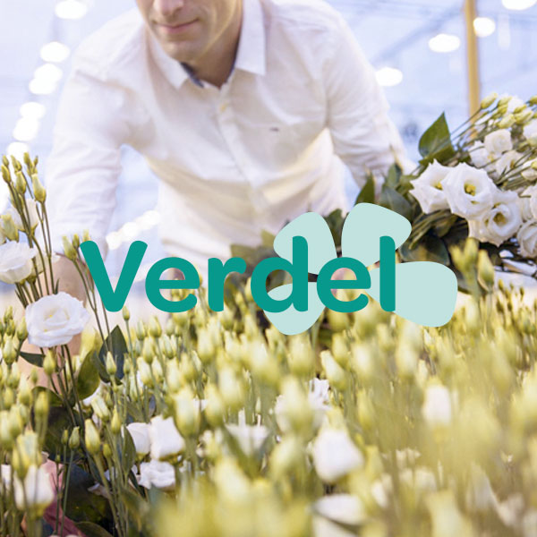 Willkommen bei Verdel | Ihr Partner für Blumen und Pflanzen | Verdel
